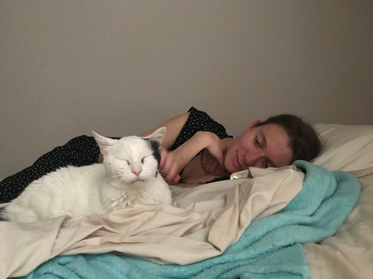 Calmness of a Cat – Hannah's Happenings!