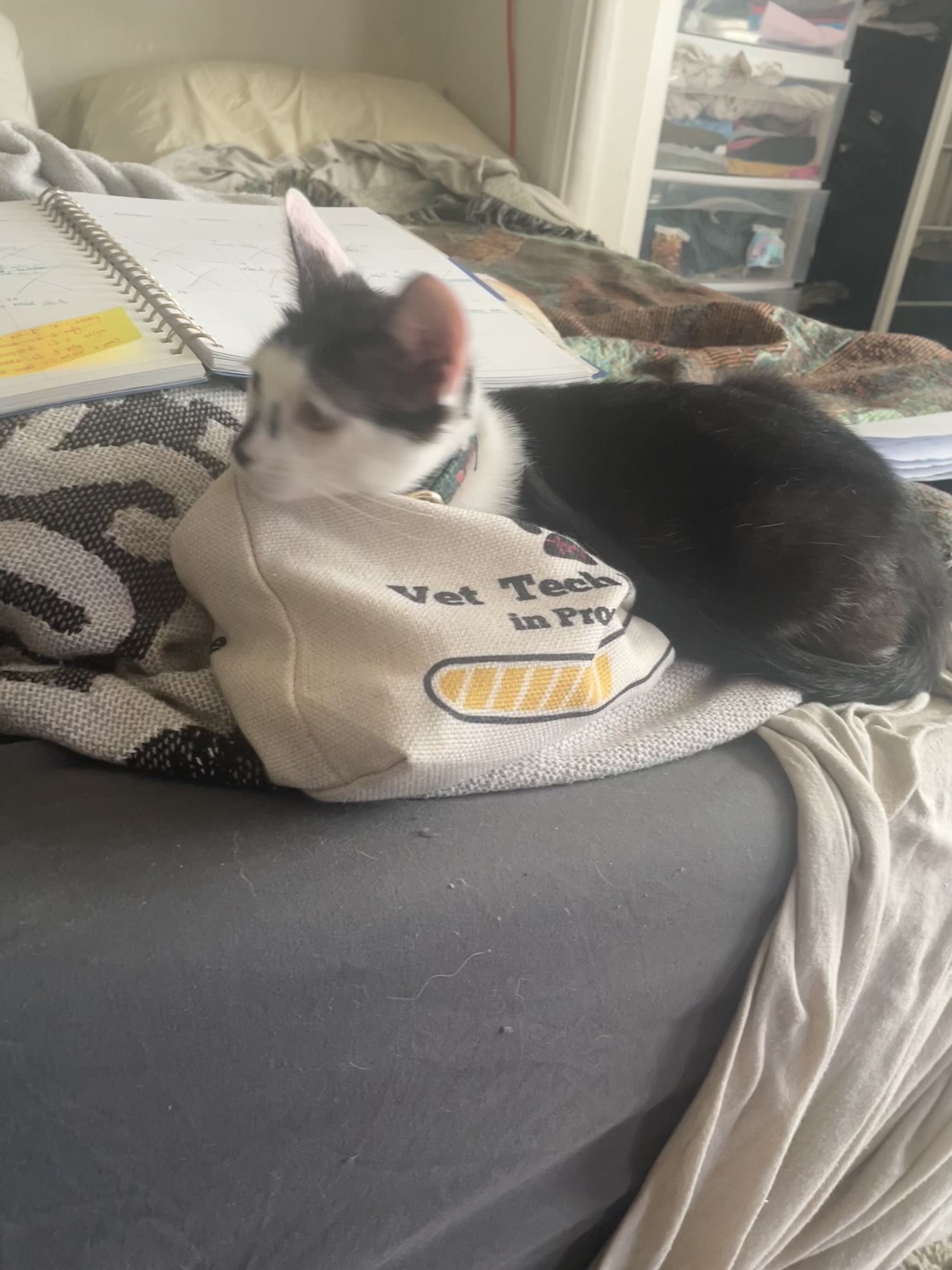 Riding the routine (Day 54/365) – Hannah's Happenings!