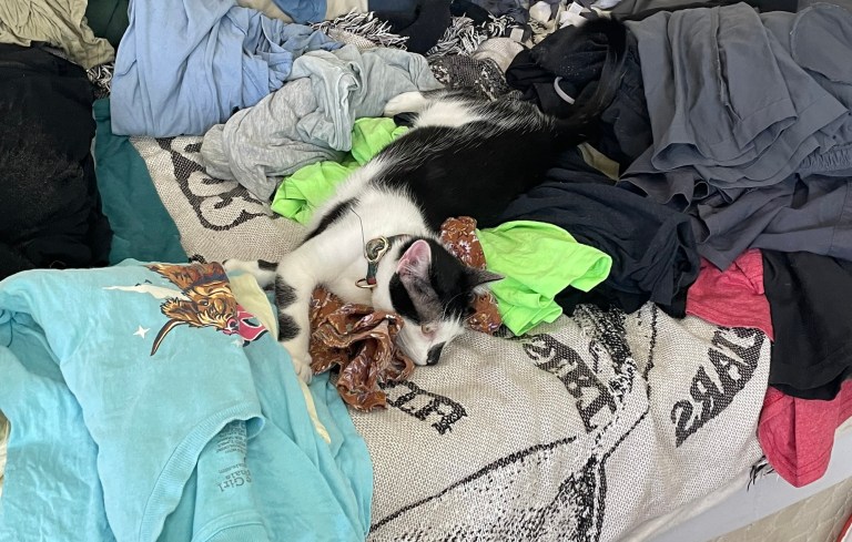 Spring Sorting (Day 110/365) – Hannah's Happenings!