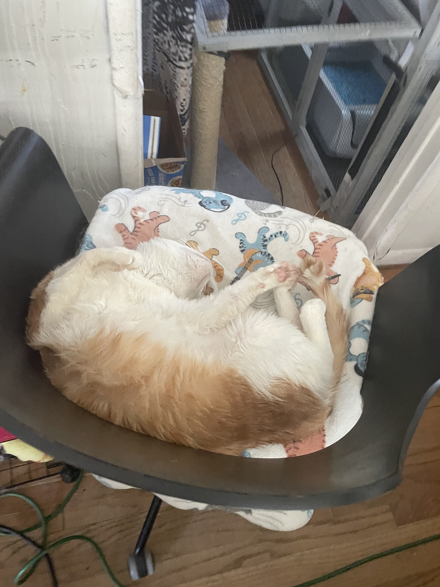 Relaxing but completing tasks (Day 150/365) – Hannah's Happenings!